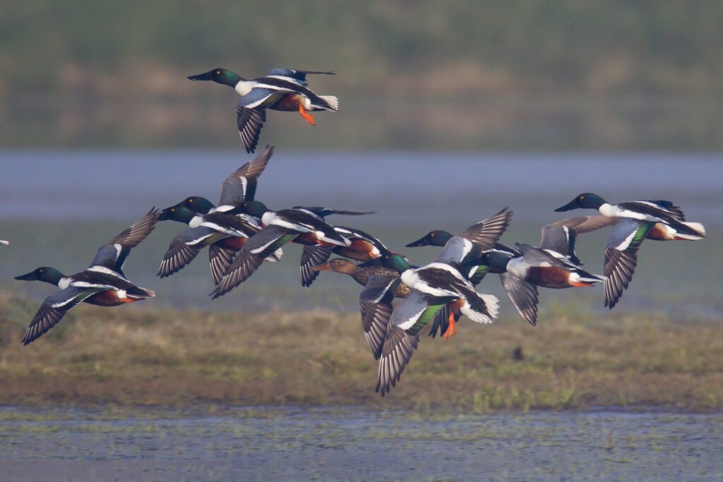 Copyright © 2025 Cybergames-café / Crédit photos / FAQ – Foire aux ...